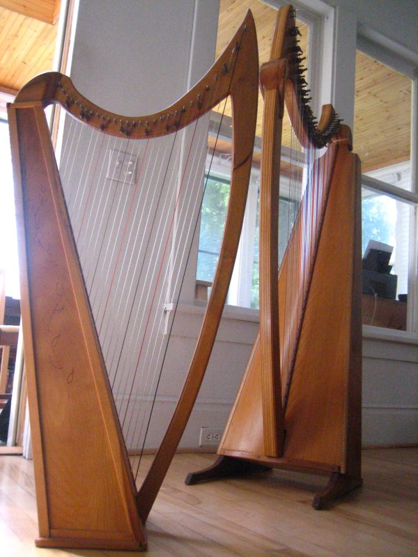 Baby Harp Enters the Family | Buying a New Harp
